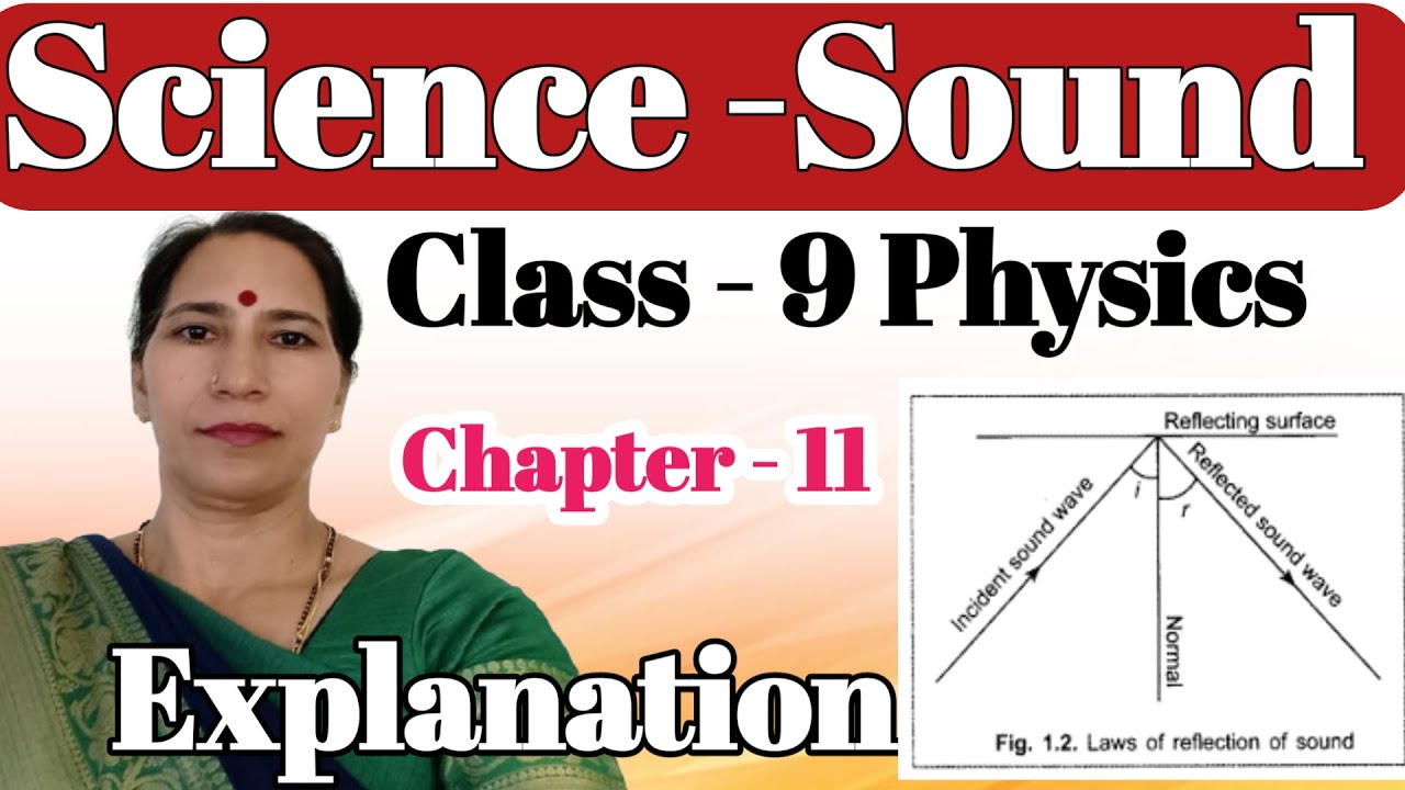 Class 9th Science Chapter 11 Sound NCERT | Reflection of Sound ...