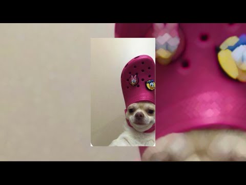 Ice Spice,Lil Tjay - Gangsta Boo speed up - YouTube