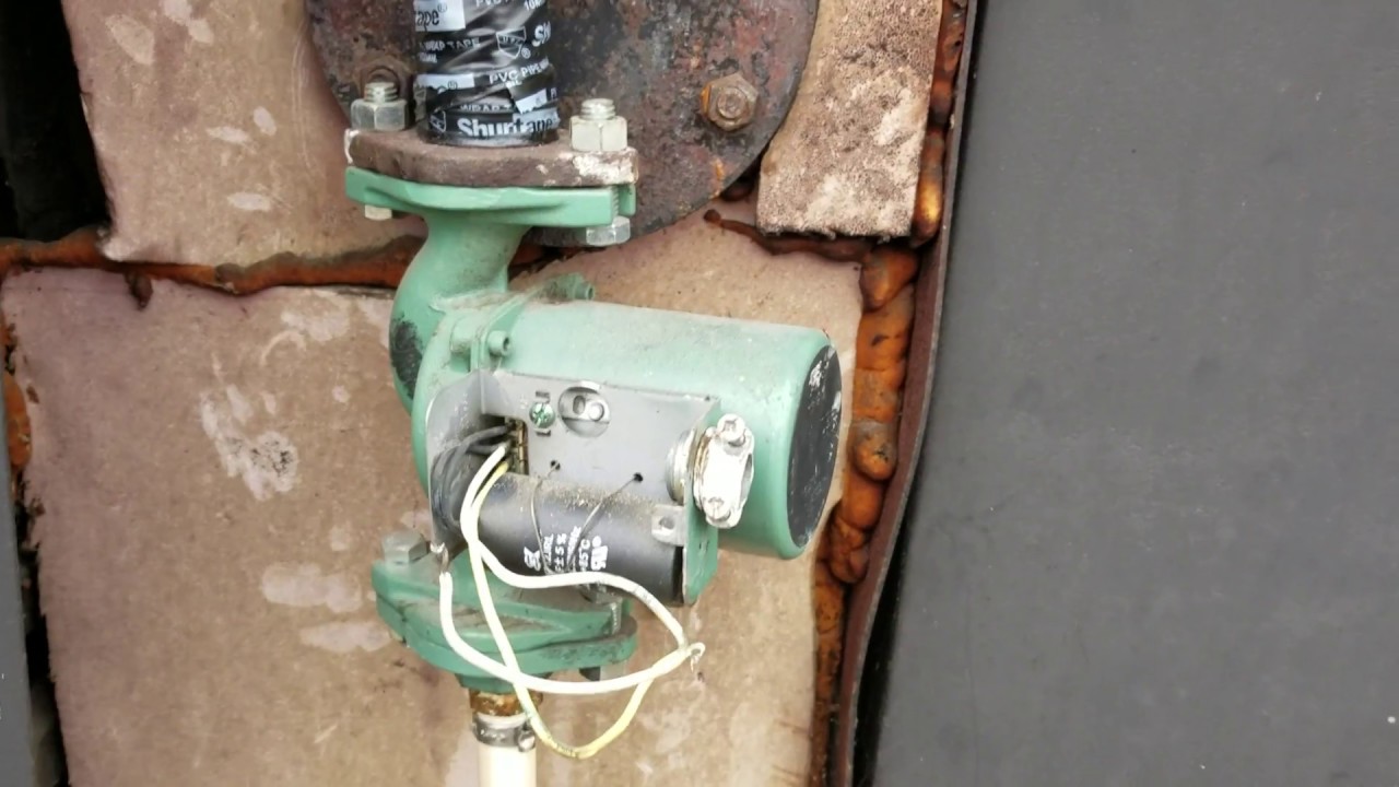 musk rat walks by while im wokring on boiler - YouTube