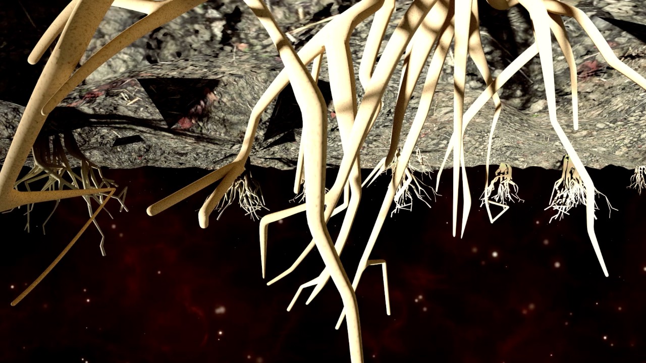 Découvrez la symbiose mycorhizienne en réalité virtuelle - YouTube