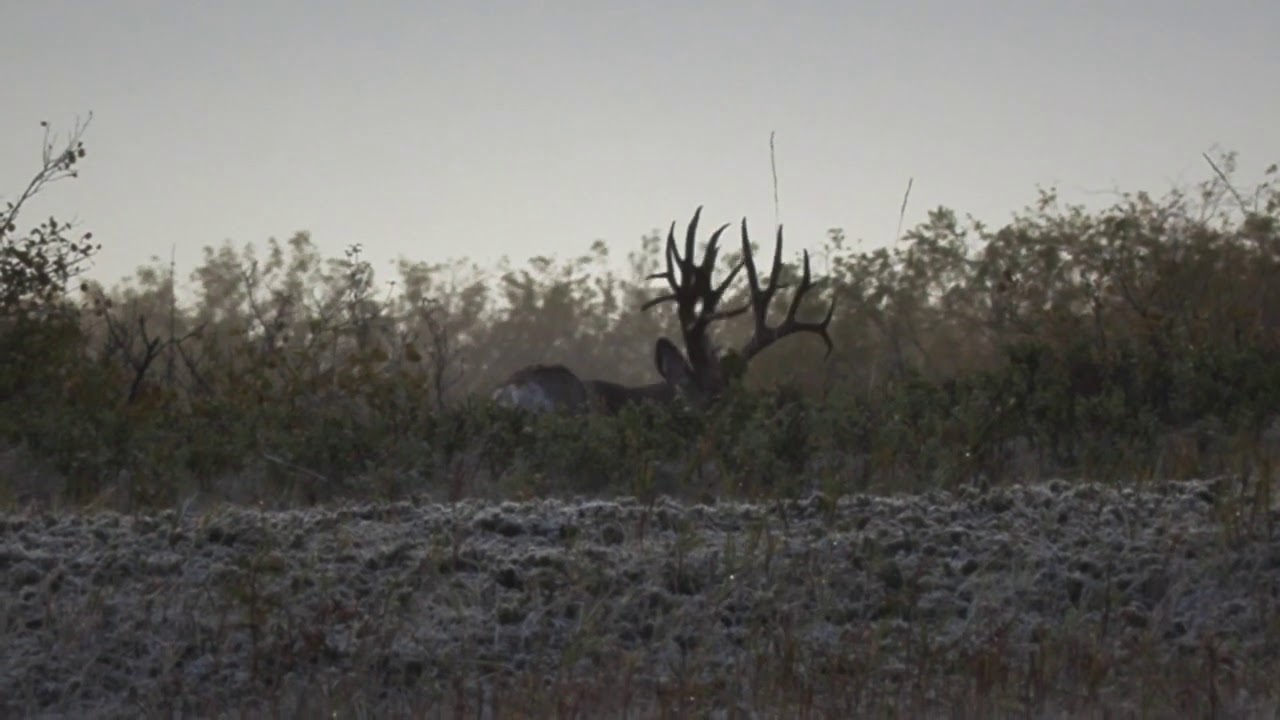 Sleepy Movie Teaser - YouTube