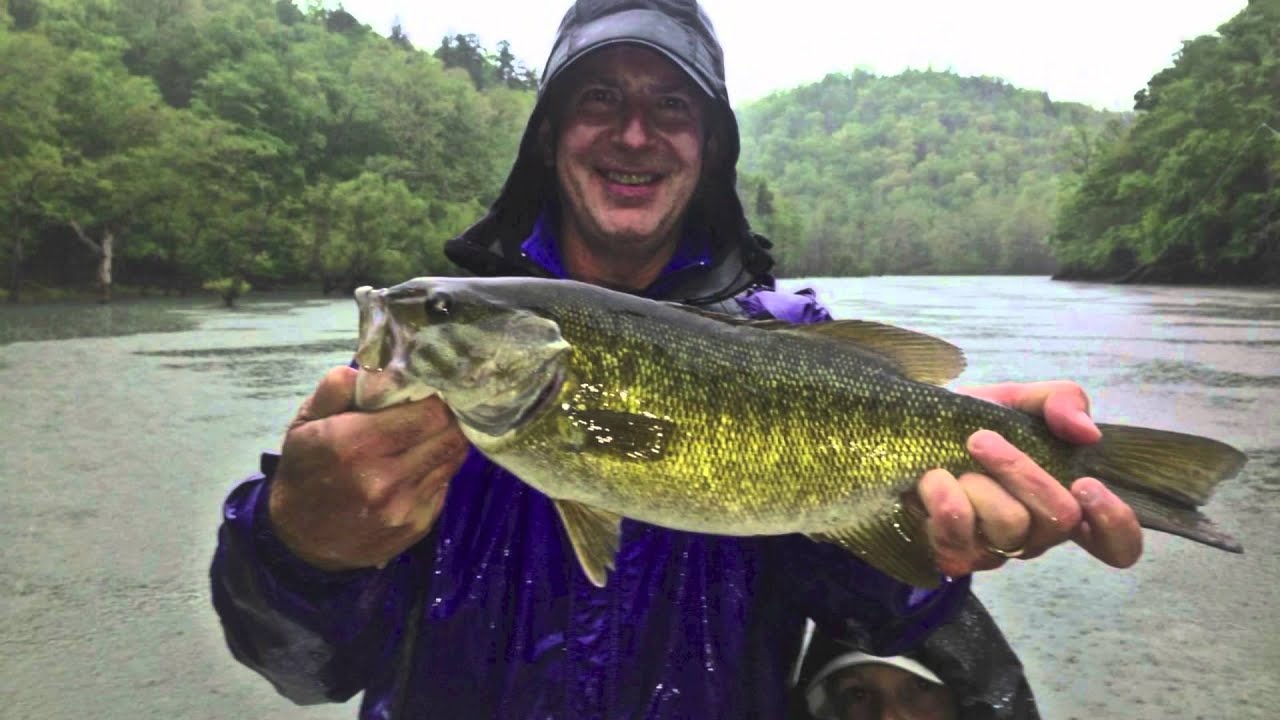 Guided Fishing in Bryson City, North Carolina - Fontana Lake - YouTube