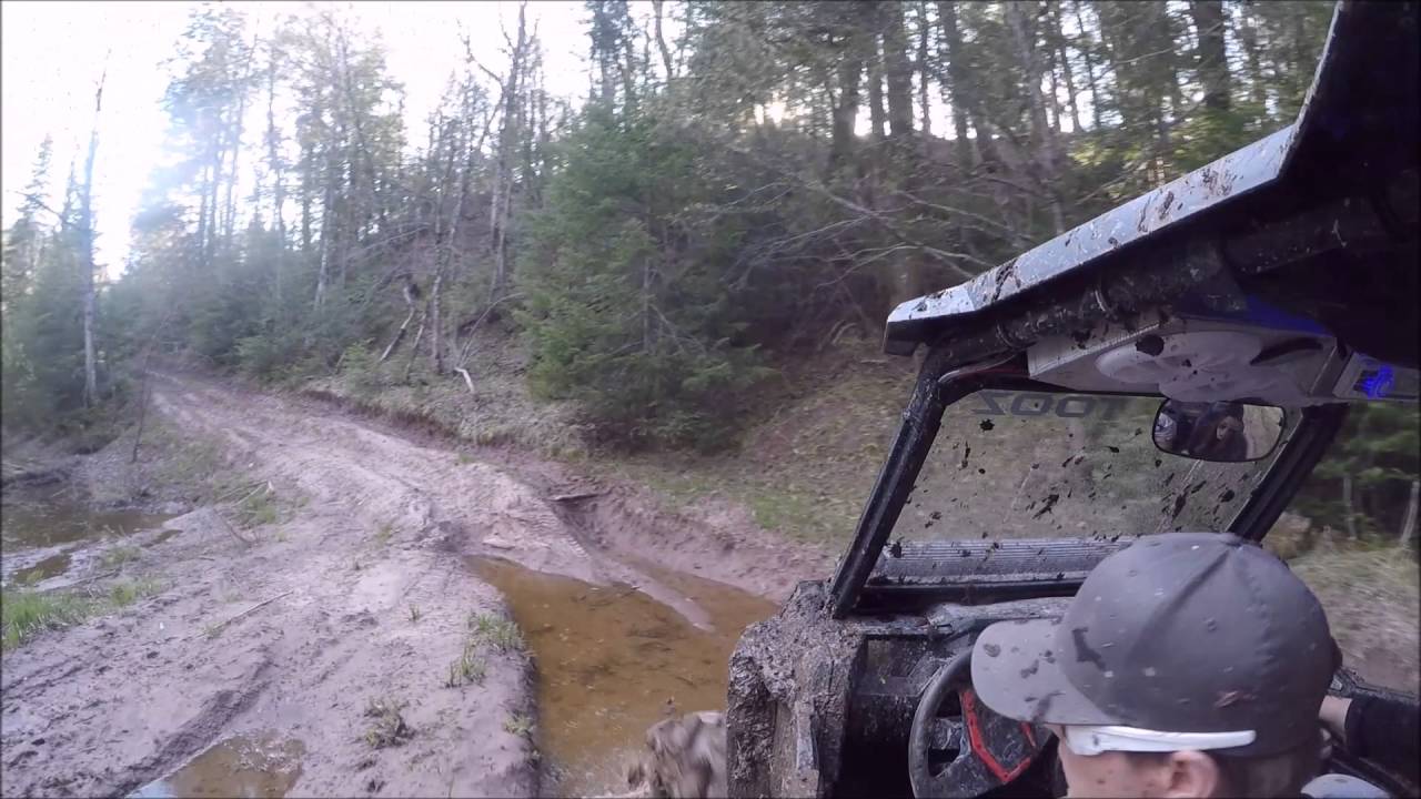 RZR 900, XP1K and Rancher riding deep water and mud - YouTube