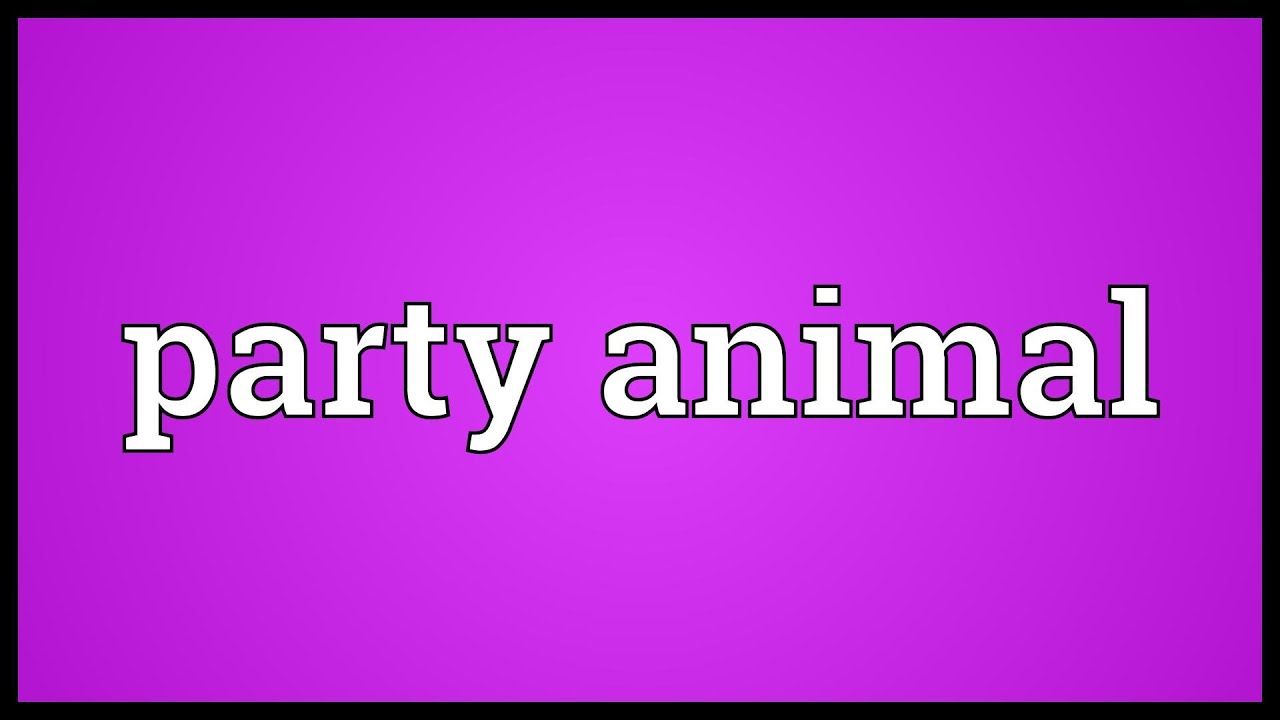 Party Animal Meaning YouTube party-animal-meaning-youtube