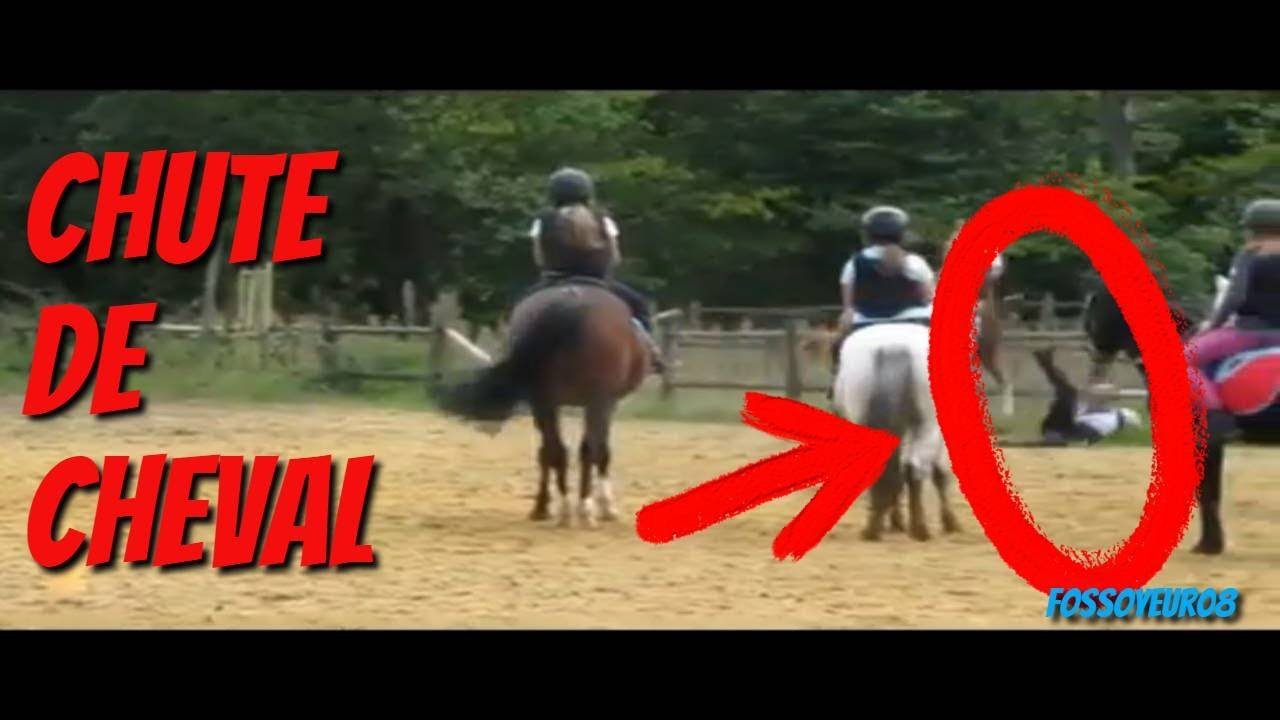 #Équitation : Chutes de cheval ! - YouTube