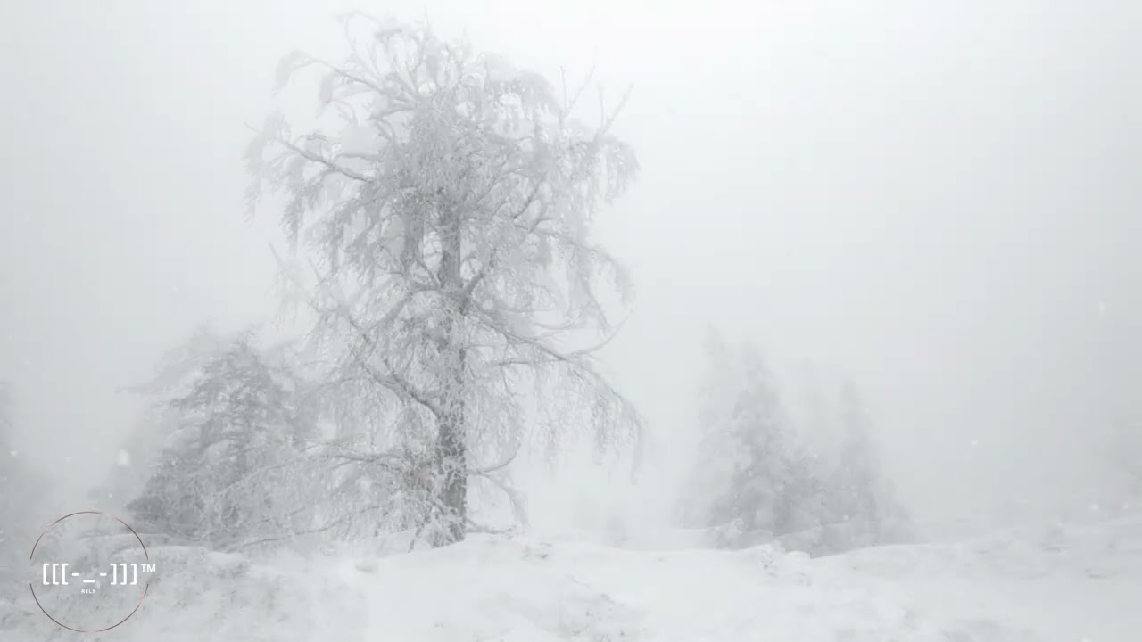 Relaxing Snowfall 1 Hours - Sound of Light Wind Breeze and Falling Snow ...