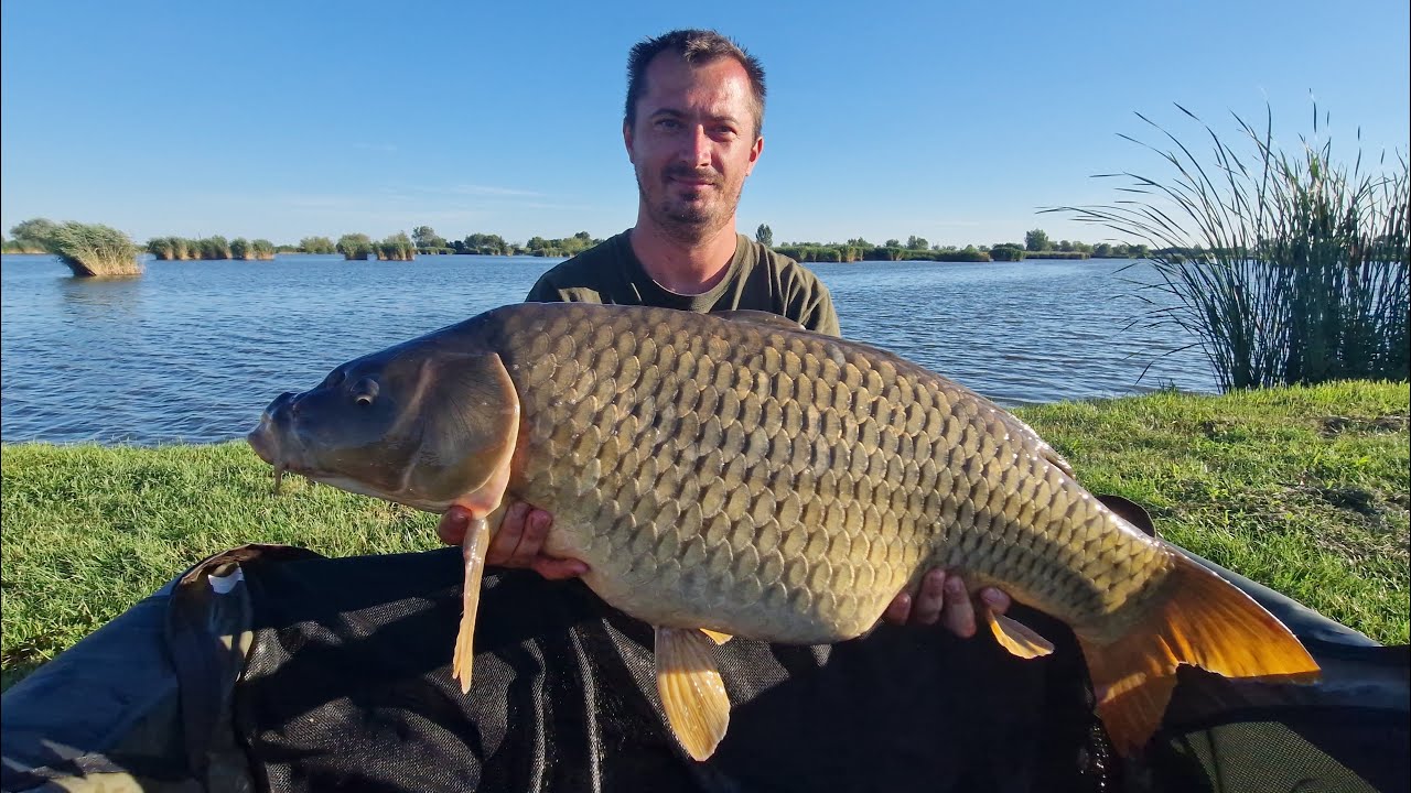 48 órás örömpeca Reed carp laken - YouTube