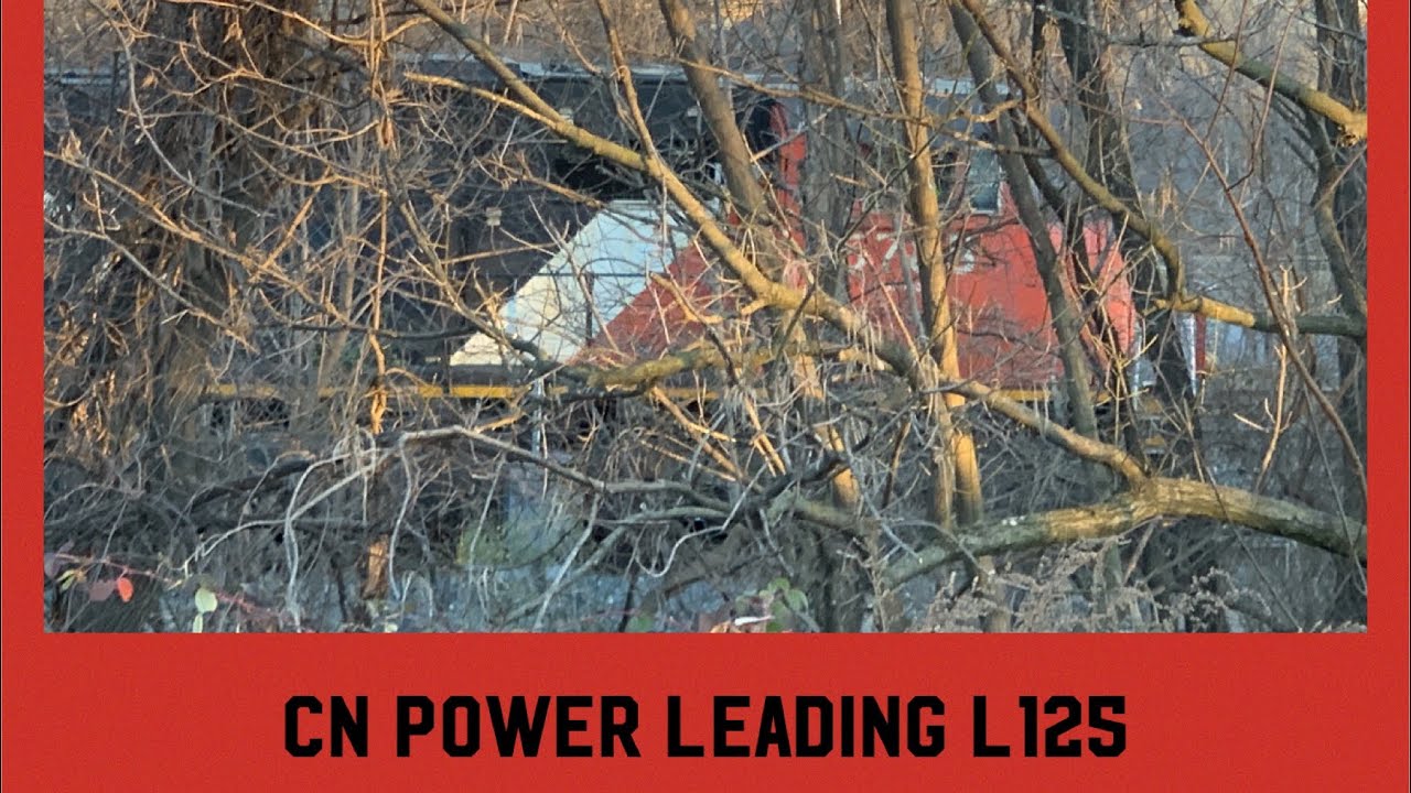 Pair of Canadian National units leads CSX L125 @ Curtis Bay - YouTube