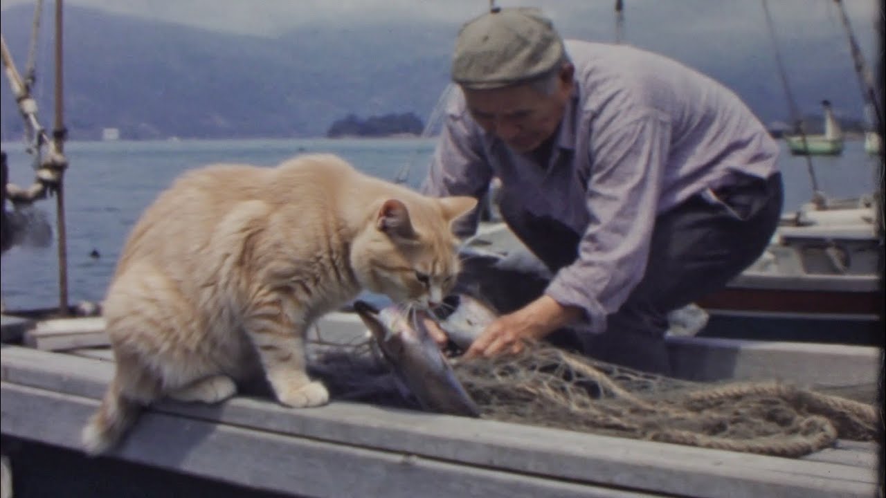Chibi-Nyan’s Retro Japan Food Adventure A Journey Through the Showa Era ...