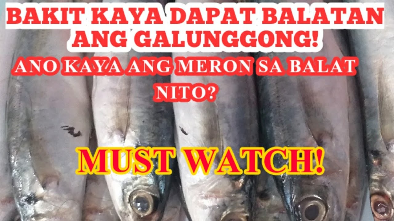 WHAT's THIS?! //ANO MERON SA SKIN NG FISH! //PANOORIN! - YouTube