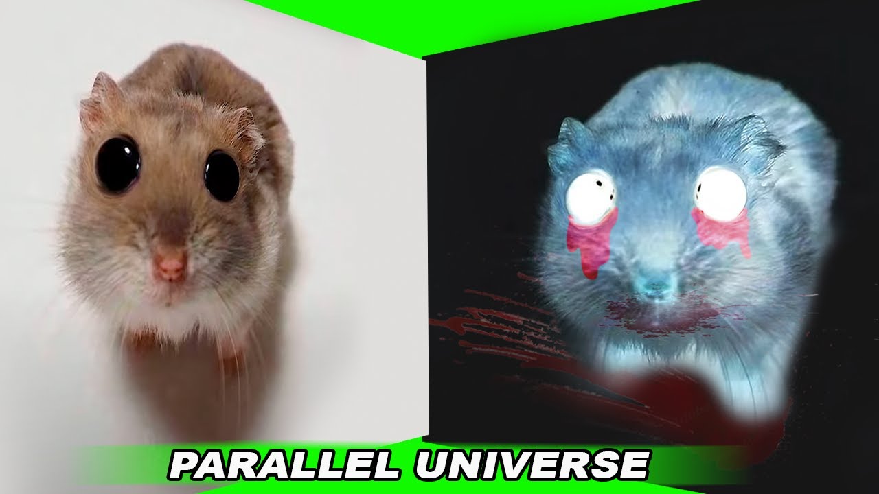 Sad Hamster Becomes scary parallel universe - YouTube