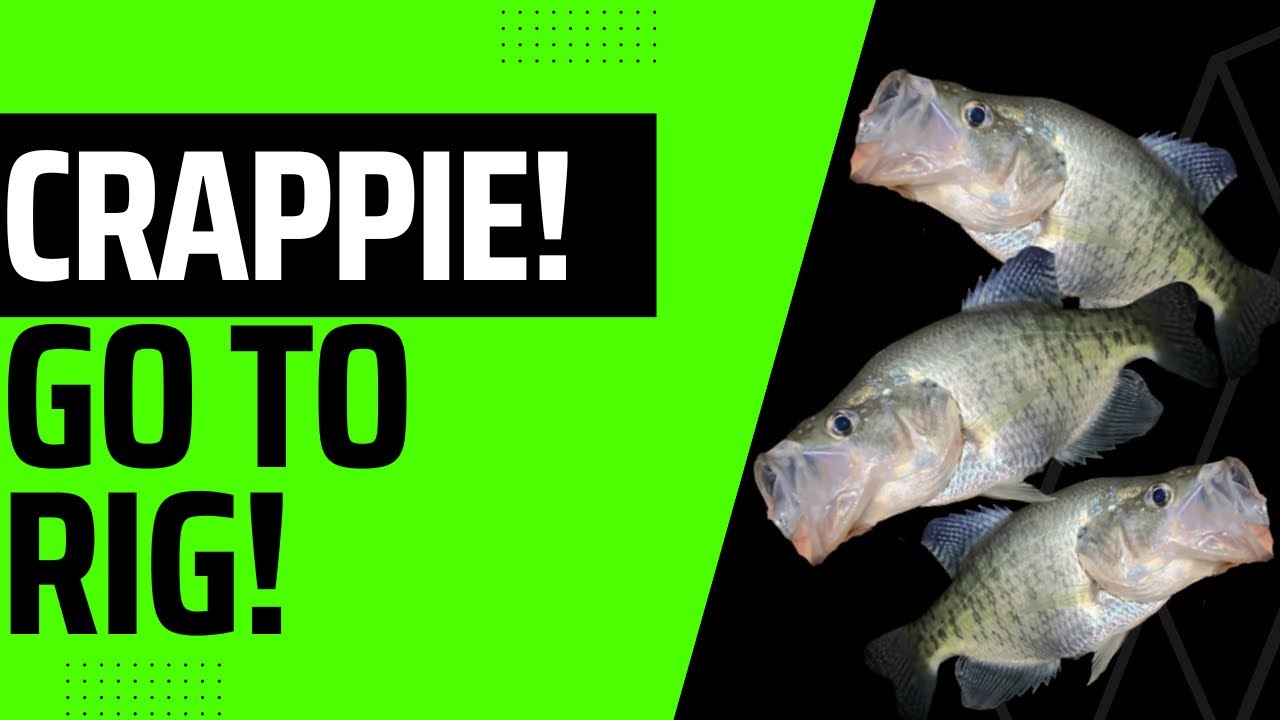 Double the number of crappie you catch with this one rig! - double jig ...