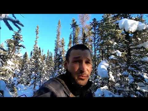 TheWildNorth Trapping Journal Ep 11 - YouTube