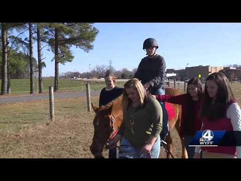 West-oak High School (Ranked Top 20% for 2024) - Westminster, SC