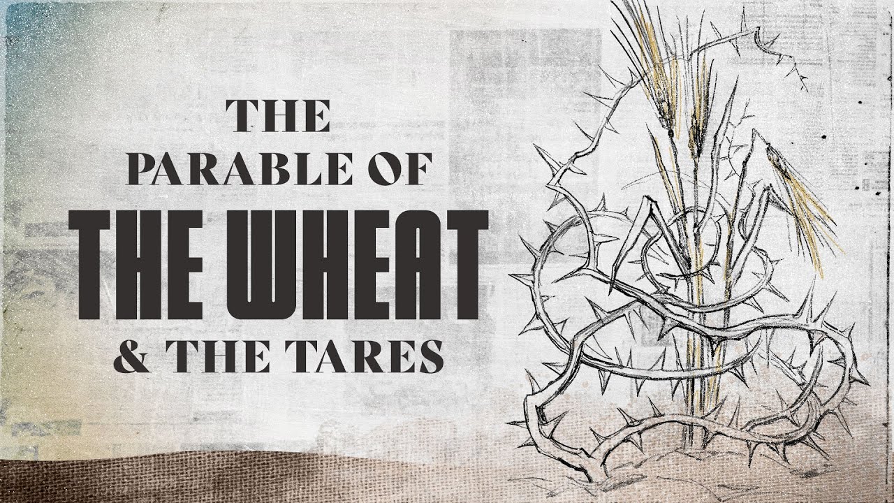 High School | The Parable of The Wheat And The Tares (Matthew 13:24-30 ...