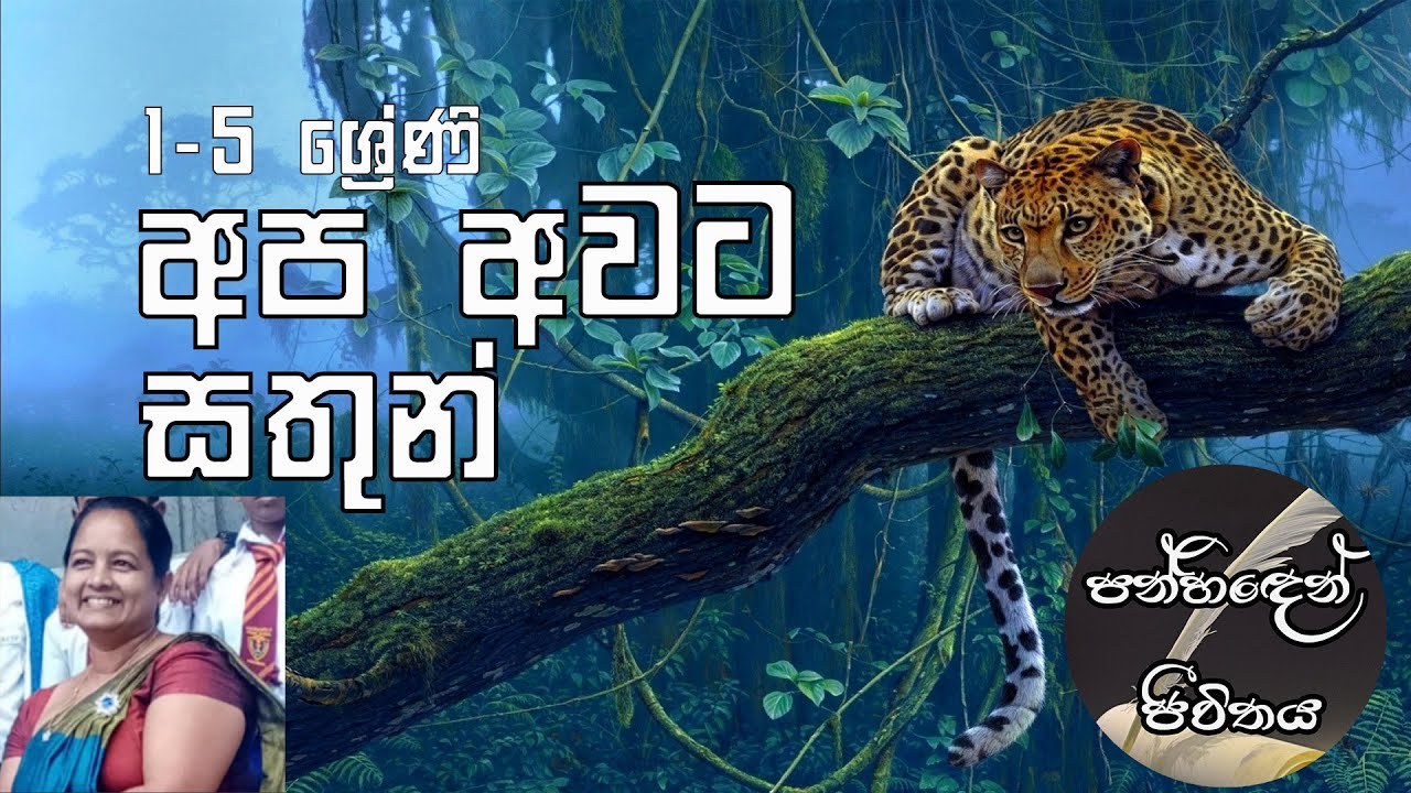 අප අවට සතුන් Apa awata sathun - YouTube