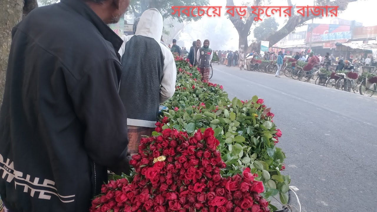 গদখালী ফুলের বাজার ২০২৪ || Godkhali Biggest Flower Market Jessore ...