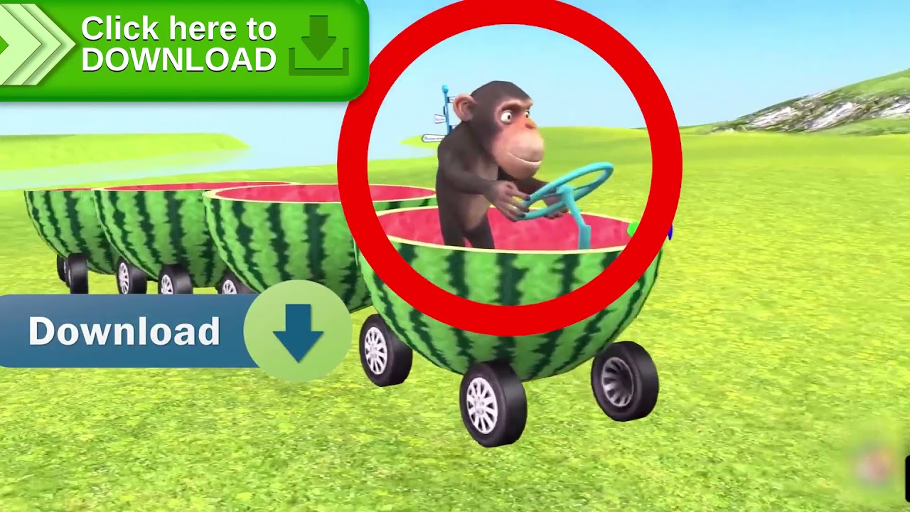 MONKEY DRIVING WATERMELON TRAIN 1080p - YouTube