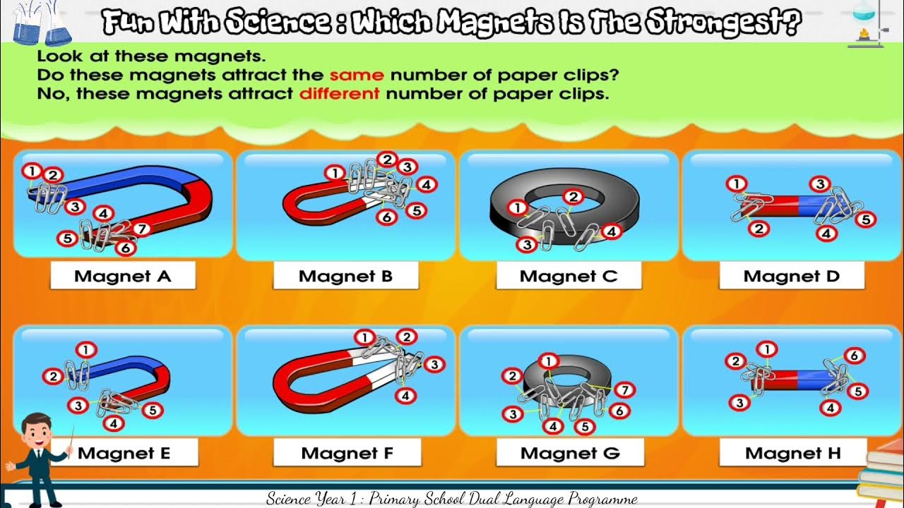 Year 1 Science Interactive Learning : Unit 7 - Strength Of Magnets [The ...