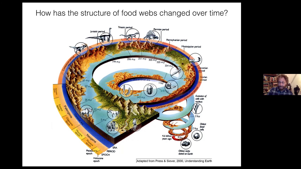 Overview of theoretical paleoecology - YouTube