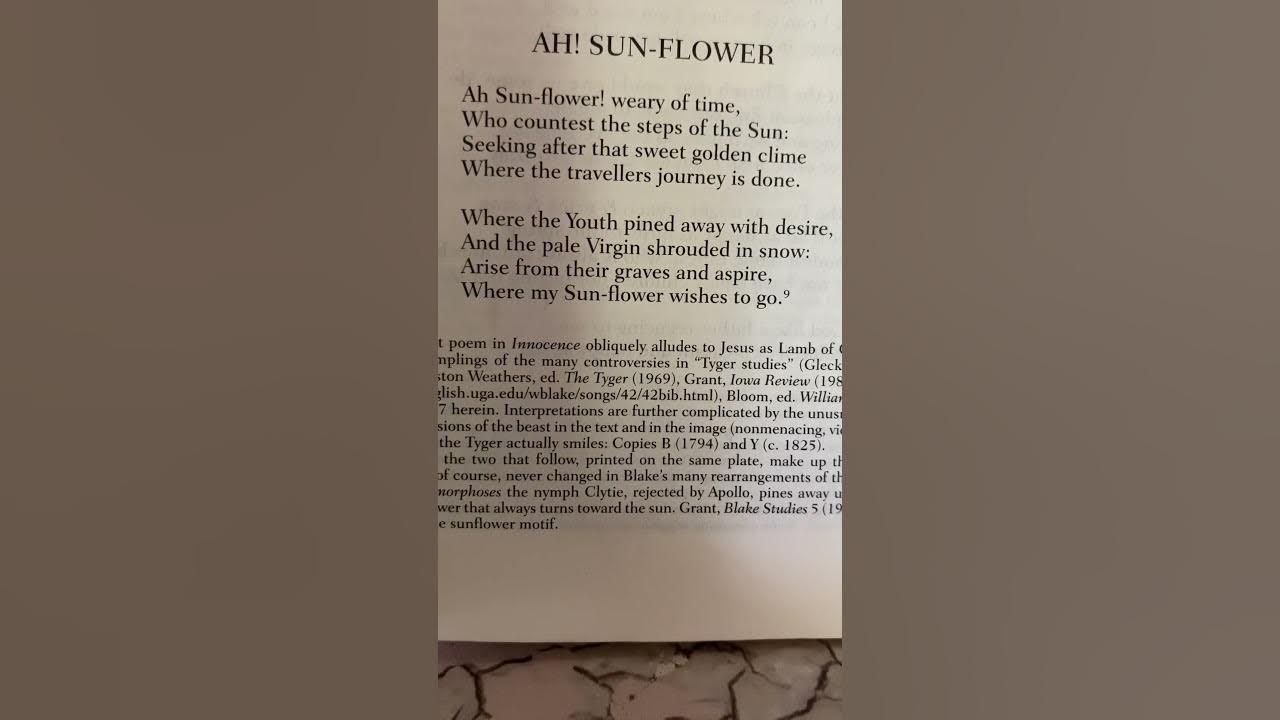 My summary/analysis of “Ah! Sunflower” by William Blake - YouTube