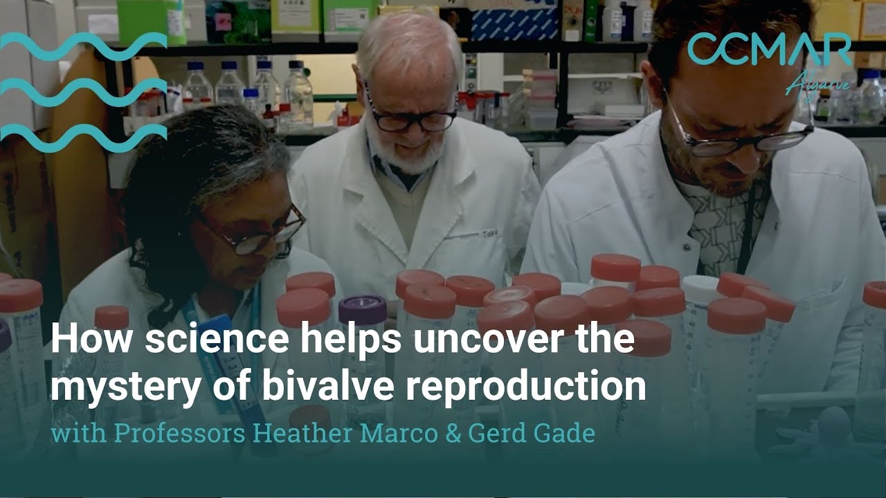 How science helps uncover the mystery of bivalve reproduction - YouTube