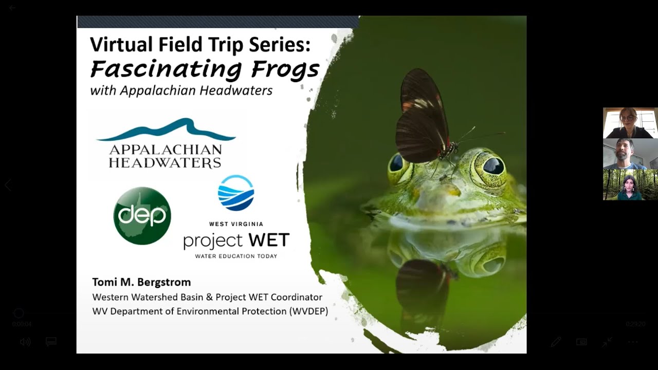 Fascinating Frogs of WV with Tomi Bergstrom of WV DEP - YouTube