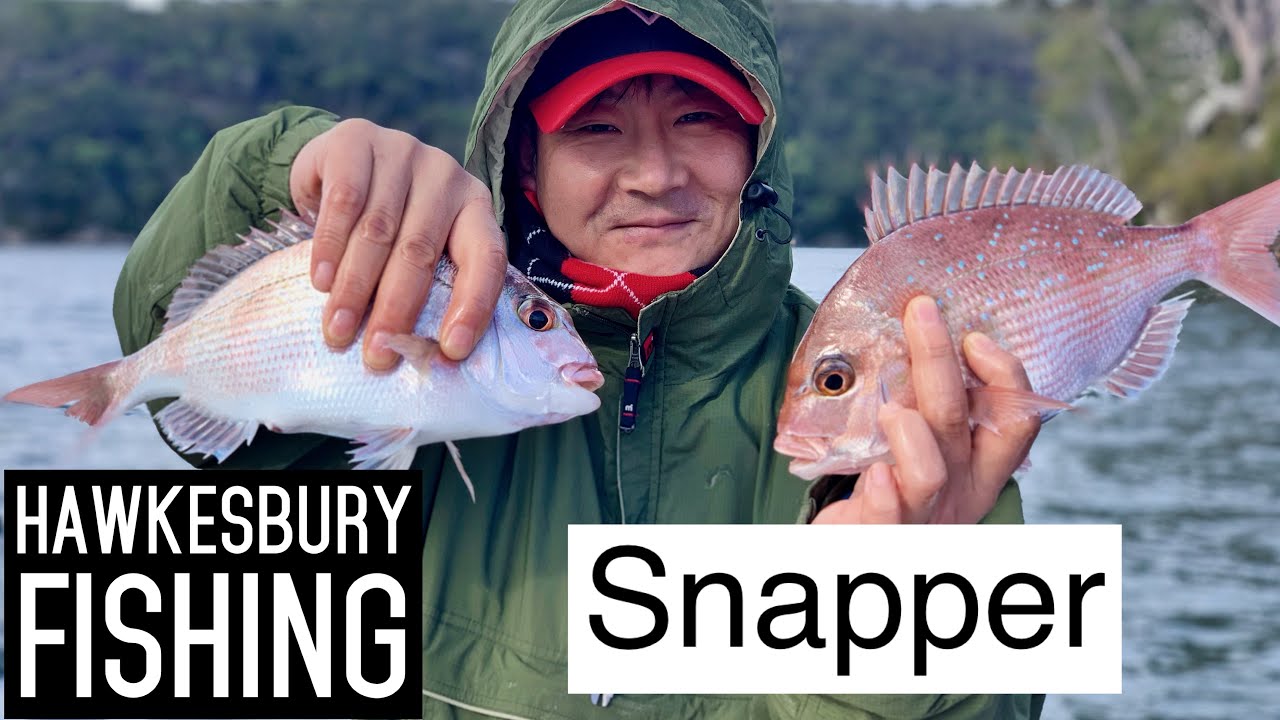 Hawkesbury inshore Snapper Fishing - YouTube