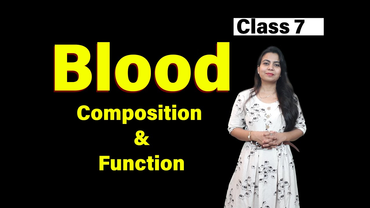 Class 7 | NCERT and CBSE Science | Blood Composition and Function ...