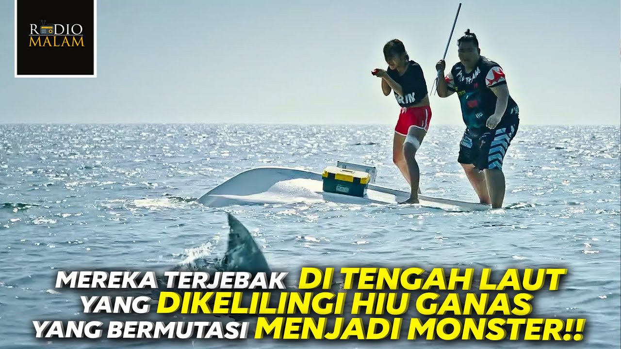BERENANG SEJAUH 12KM DEMI MENYELAMATKAN DIRI DARI MONSTER HIU - Alur ...