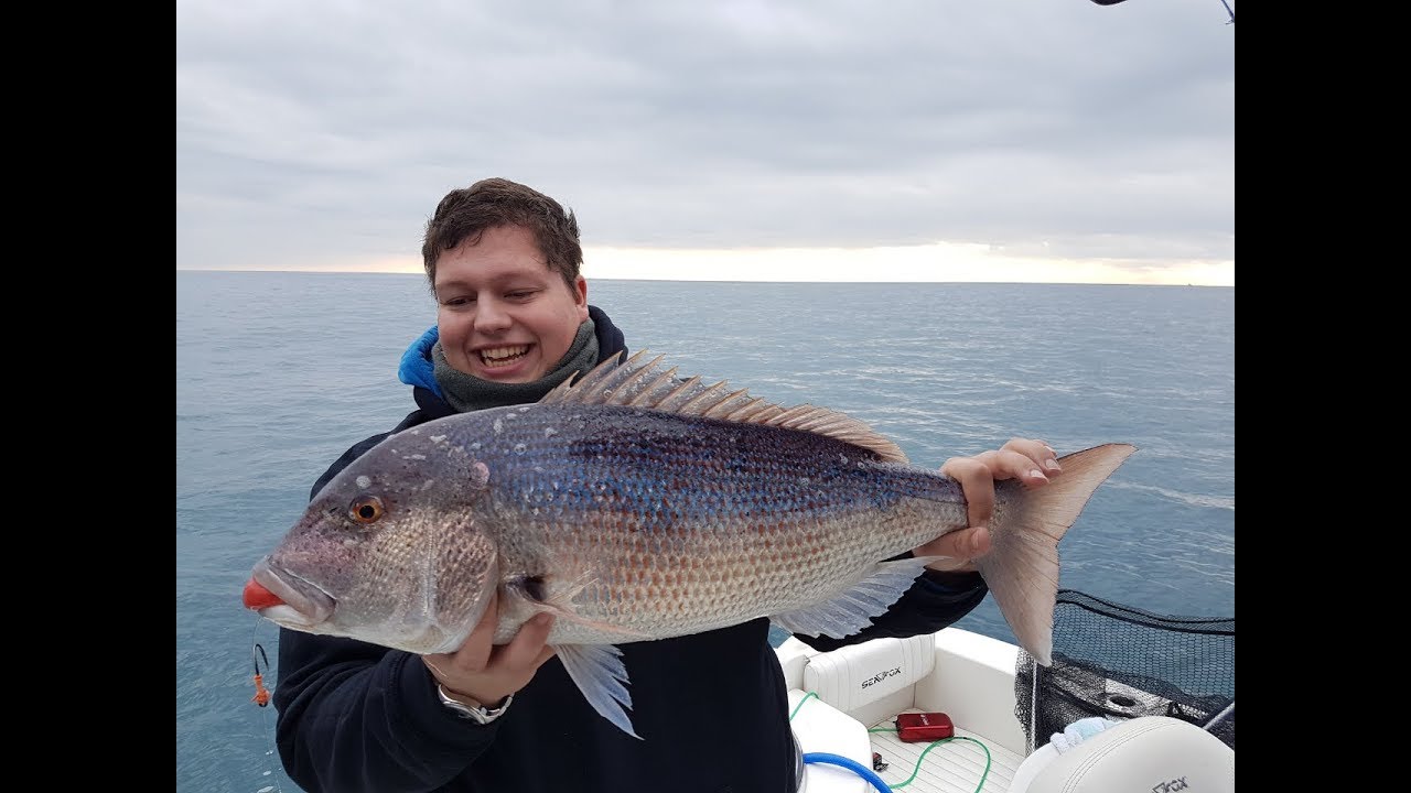 Christmas Dentex / Snapper 3.9 kg with livebait - YouTube