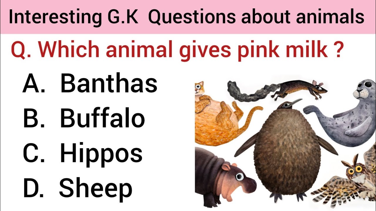 interesting Gk quiz about animals! most important GK questions and ...