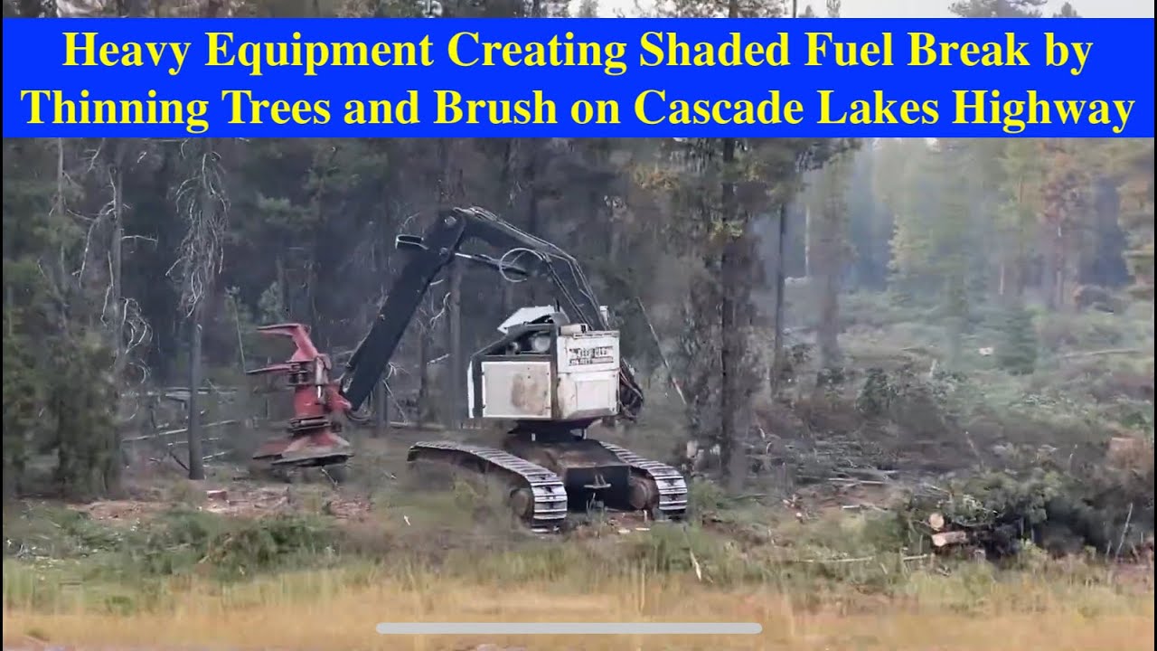 Heavy Equipment Creating Shaded Fuel Break by Thinning Trees and Brush ...