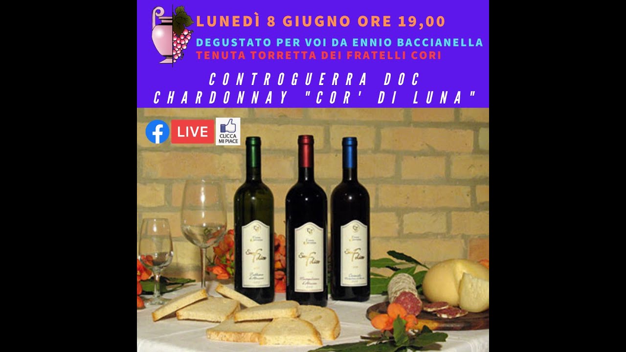Cantina Tenuta Torretta Controguerra DOC Chardonnay "Cor' di Luna ...