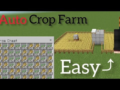 Easy Auto Crop Farm in Minecraft (Bedrock,Java) 1.21+ - YouTube