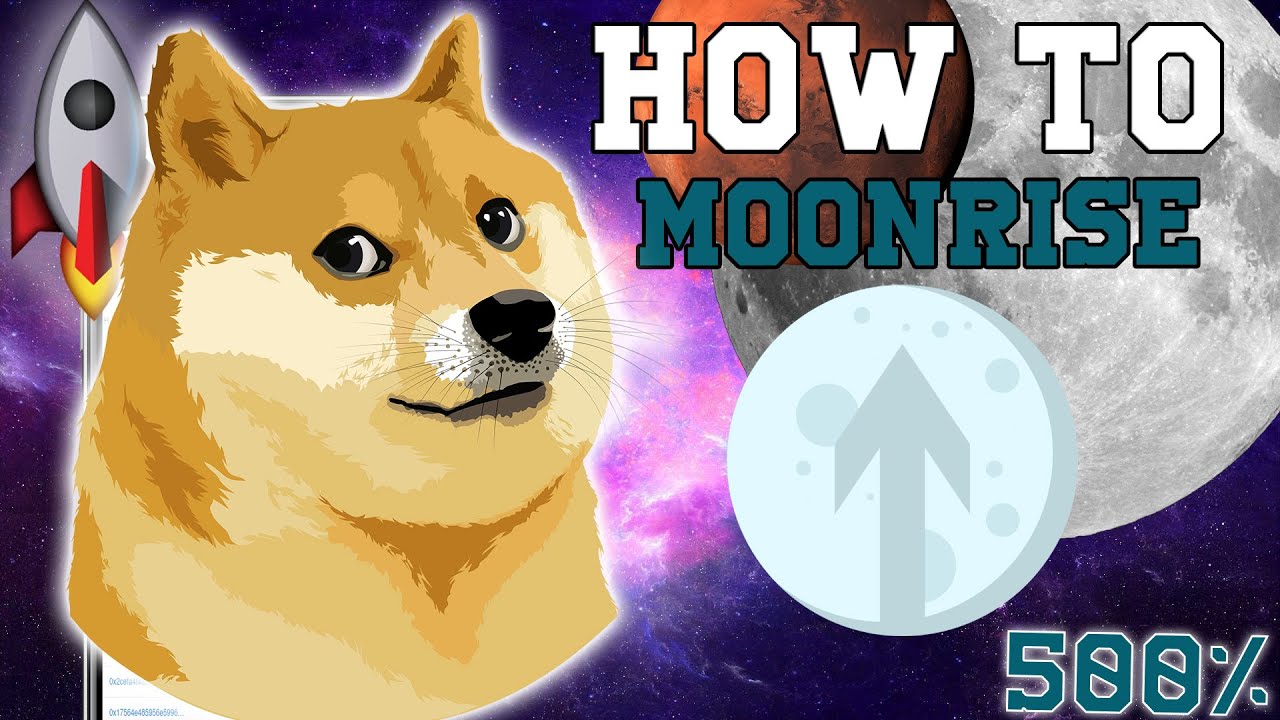 MoonRise Token-EverRise Fork -100X GEM - AND HERE IS WHY (FULL REVIEW ...