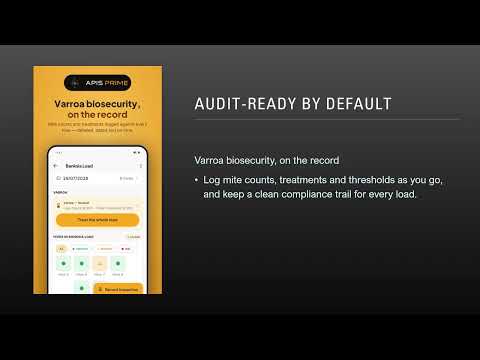Apis Prime Chat Capture