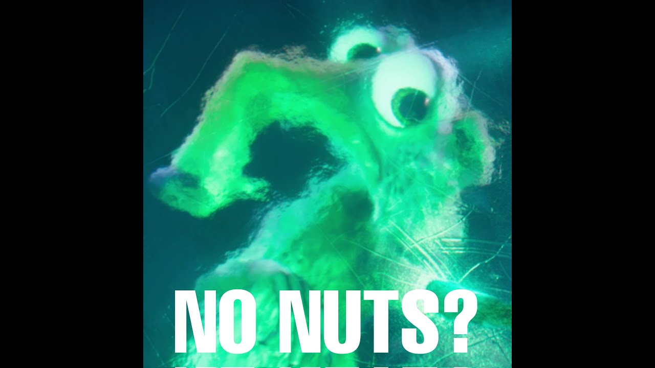 NO ACORNS ? - YouTube