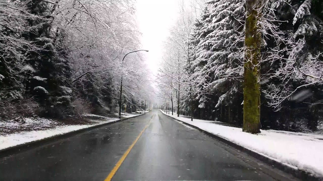 4K Video Dash Camera Trees Covered In Snow Burnaby February 24 2014 ...