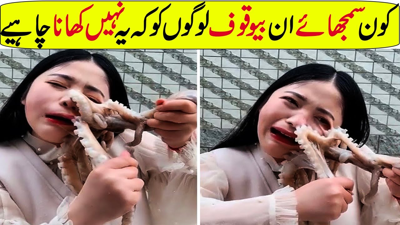 WEIRDEST FOODS IN THE WORLD In Urdu Hindi YouTube weirdest-foods-in-the-world-in-urdu-hindi-youtube
