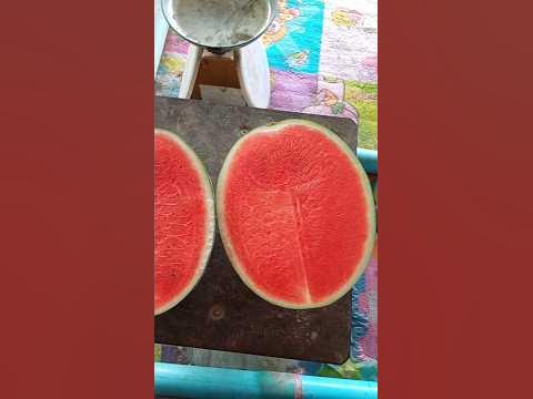 Бессемянный арбуз 🍉🔥😇 - YouTube