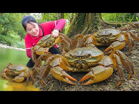 Unbelievable! Harvesting 1000+ Giant Field Crabs in One Day | Peaceful Countryside Life