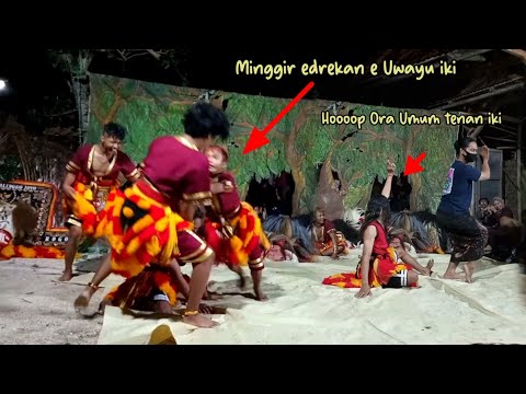 mang gondrong di edreki Mas Taji // Ora umum Egolan e