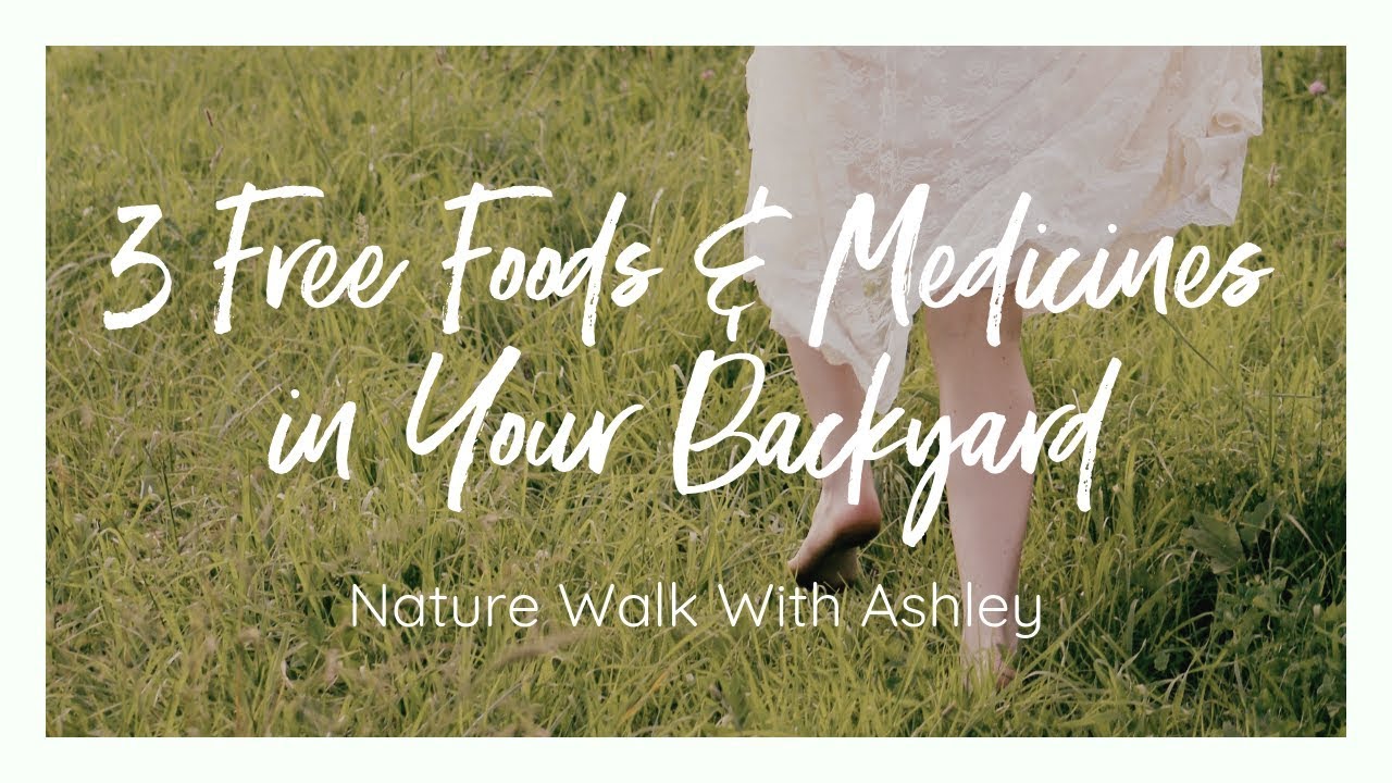 Nature Walk - 3 Free Foods & Medicines in Your Backyard - YouTube