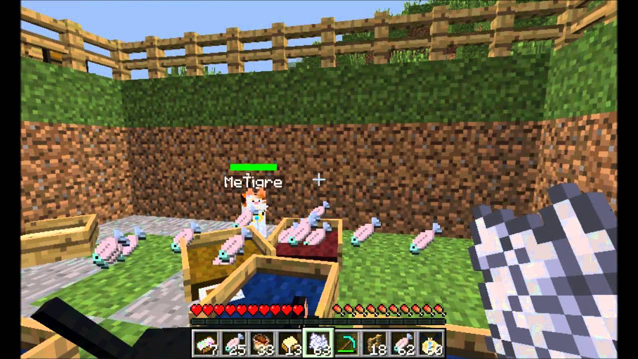 Mo' Creatures Cats Corral - YouTube