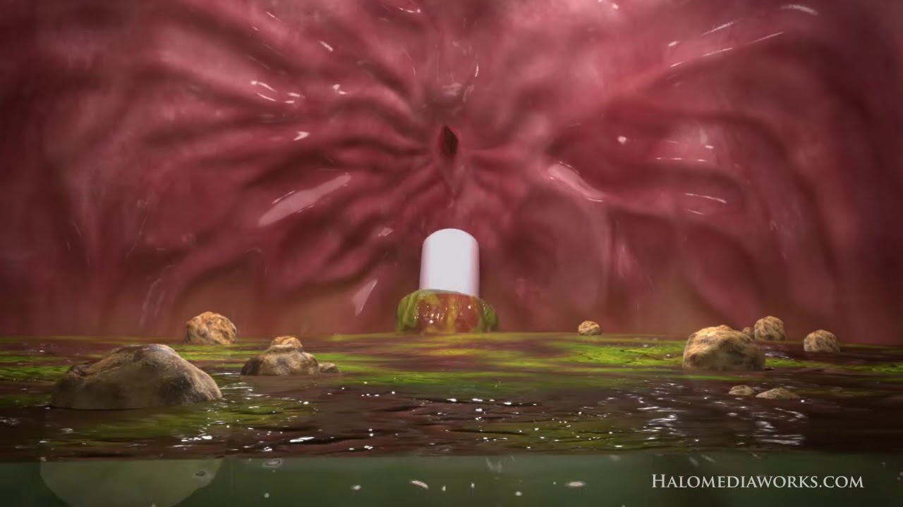 Medical Animation Interior Stomach YouTube - YouTube