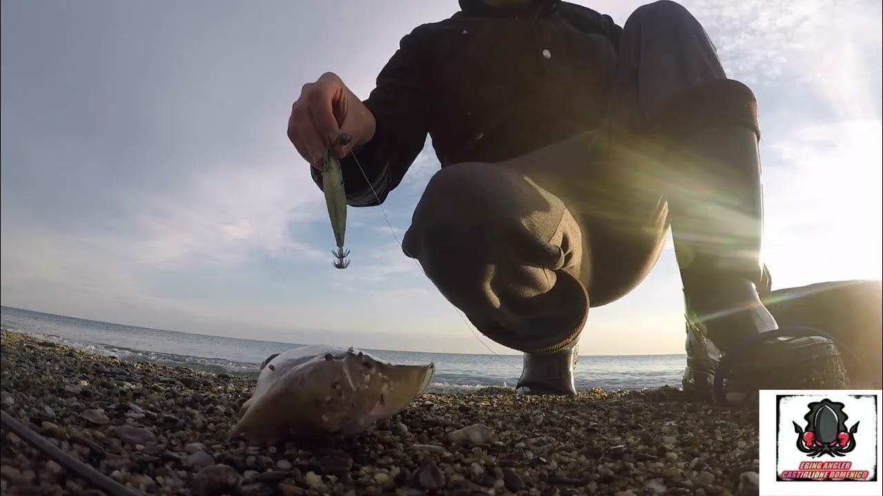 Seppie a Gennaio! La tecnica del Shore Eging - YouTube