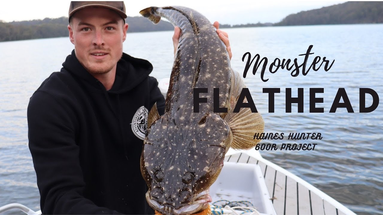 How to Catch Big Flathead and Haines Project Boat continued - YouTube