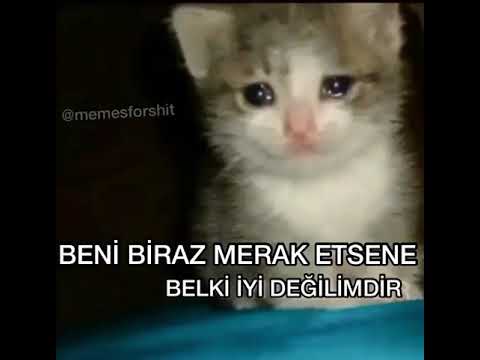 beni biraz merak etsene belki iyi degilimidirim
