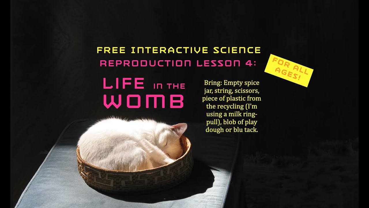 Home Ed: Reproduction 4: Life in the Womb - YouTube